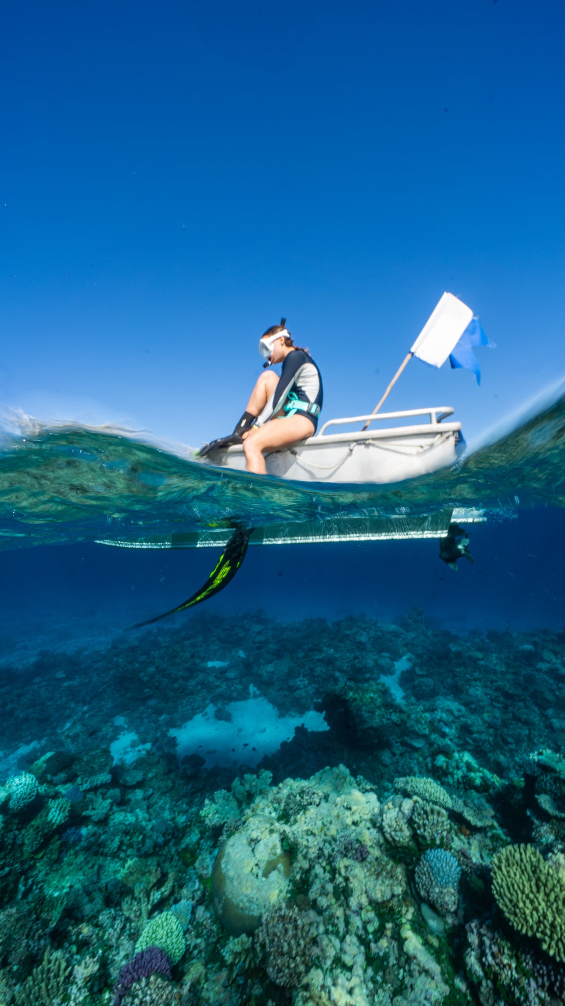 Watersports Gear | Dive, Spear, and More Equipment – Dive Spear and Sport
